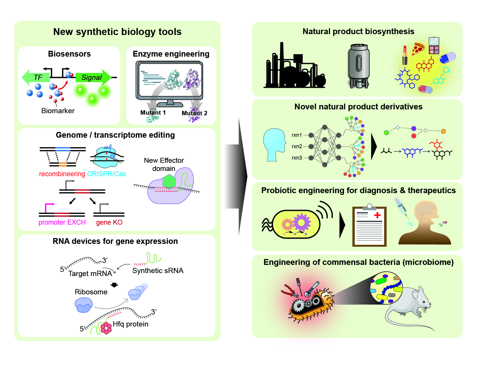 Research Area - 고려대 화공생명공학과